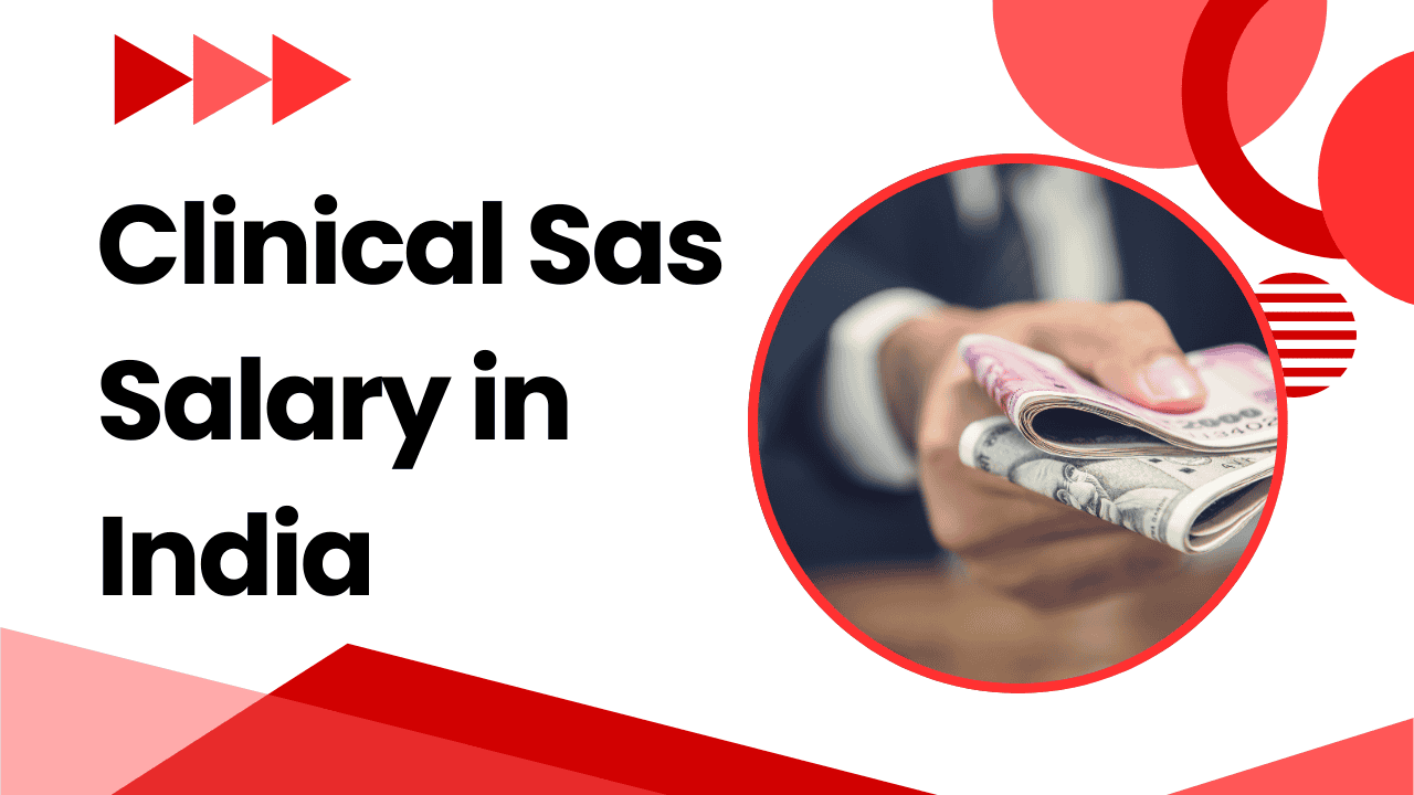 Clinical Sas Salary In India | Good Pay and Growth 2024